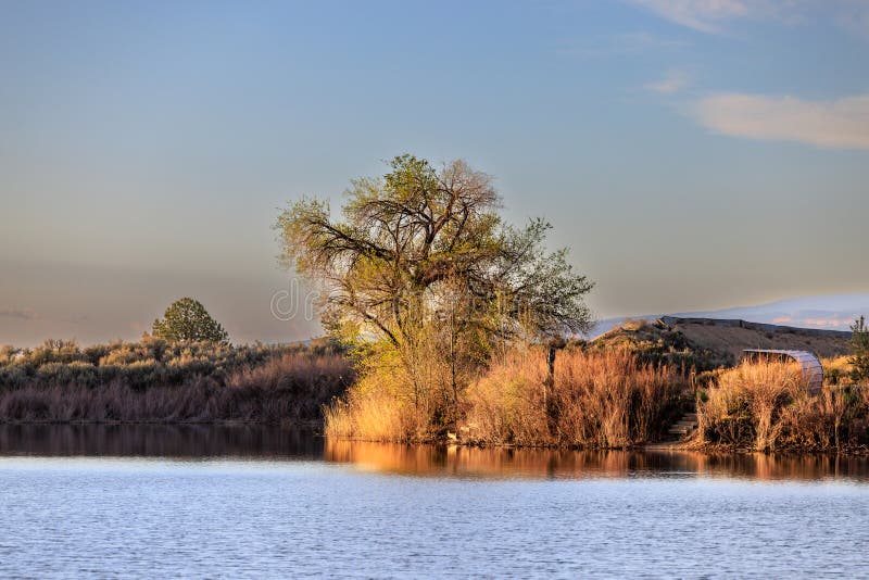 April 15 Lake Spring stock photo. Image of april, tree - 315166458