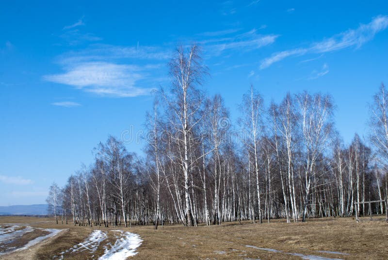 Early spring landscape stock image. Image of conservation - 19649609