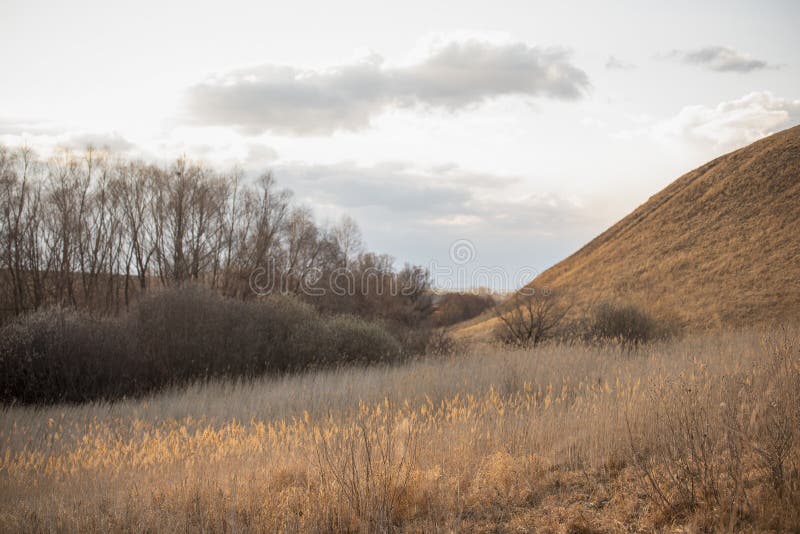Early spring landscape stock photo. Image of background - 119714916