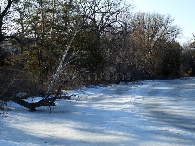 Early Spring Landscape stock image. Image of early, outdoor - 214563261