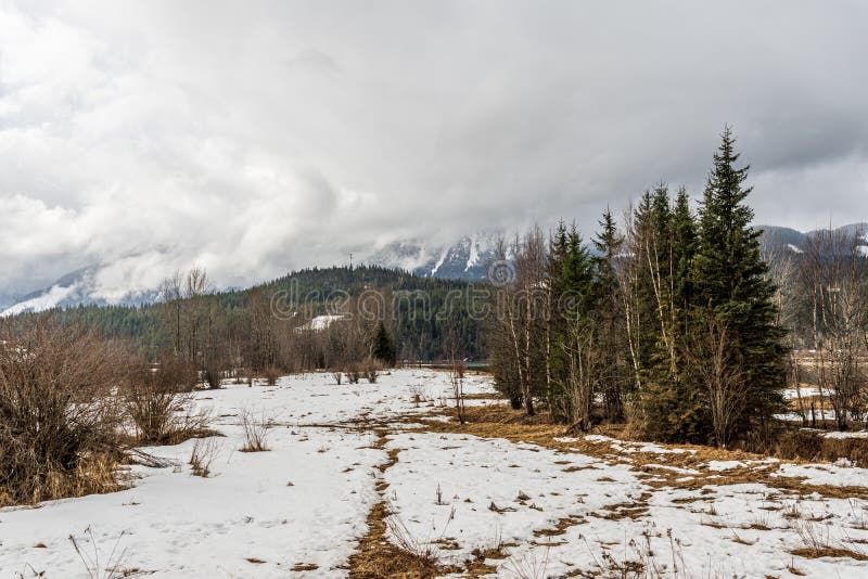 Early Spring Landscape in a Field Overcast Day with Mountains in a ...