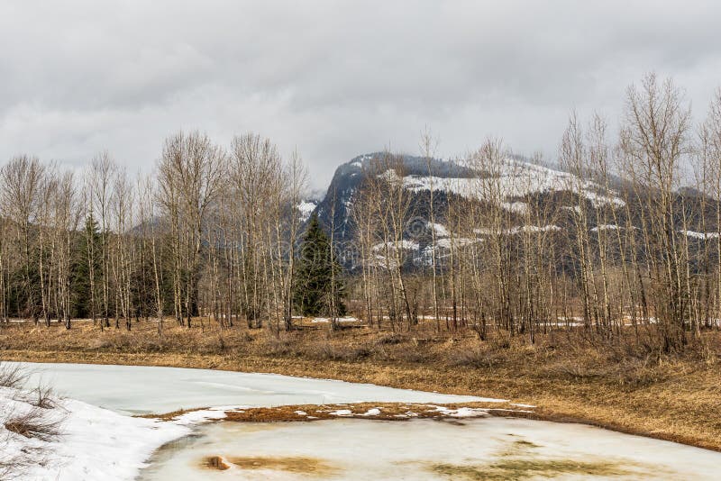 Early Spring Landscape in a Field Overcast Day with Mountains in a ...