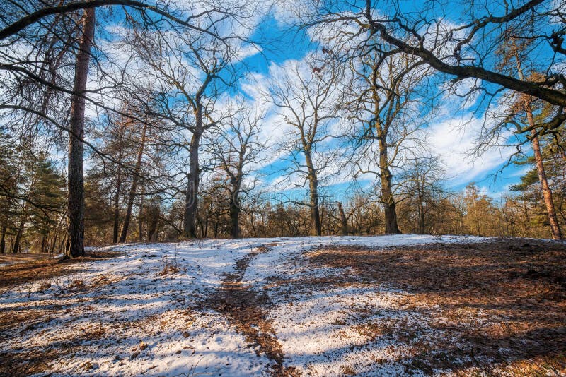 Early Spring Landscape with Footpath in the Forest Stock Image - Image ...