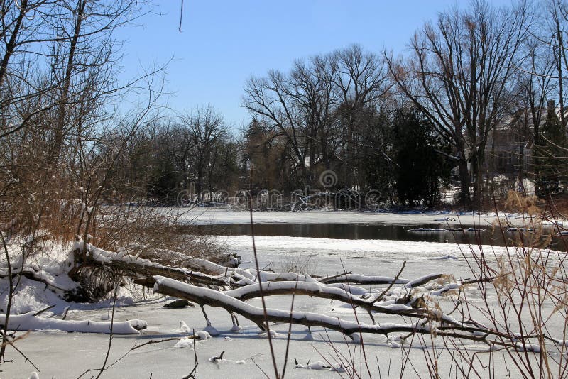 Spring Landscape stock image. Image of landscape, snow - 312142559