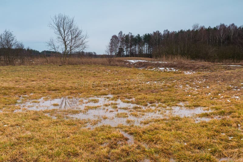 Early Spring Landscape of Grassland and Puddle Under Cloudy Sky Stock ...