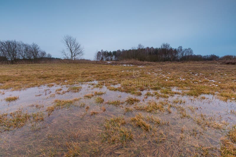 Early Spring Landscape of Grassland and Puddle Under Cloudy Sky Stock ...