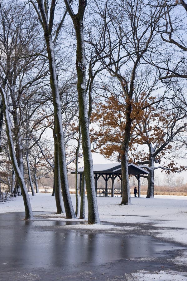 The Early Spring Nature Background Stock Photo - Image of spring, arbor ...