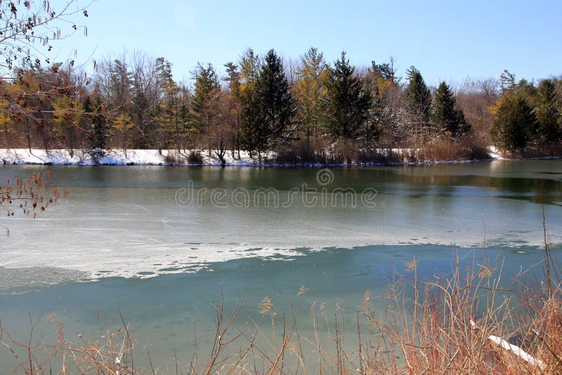 Early Spring Landscape stock photo. Image of path, spring - 312141692