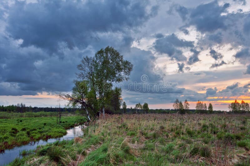 Early Spring Landscape with the River Stock Image - Image of outdoors ...