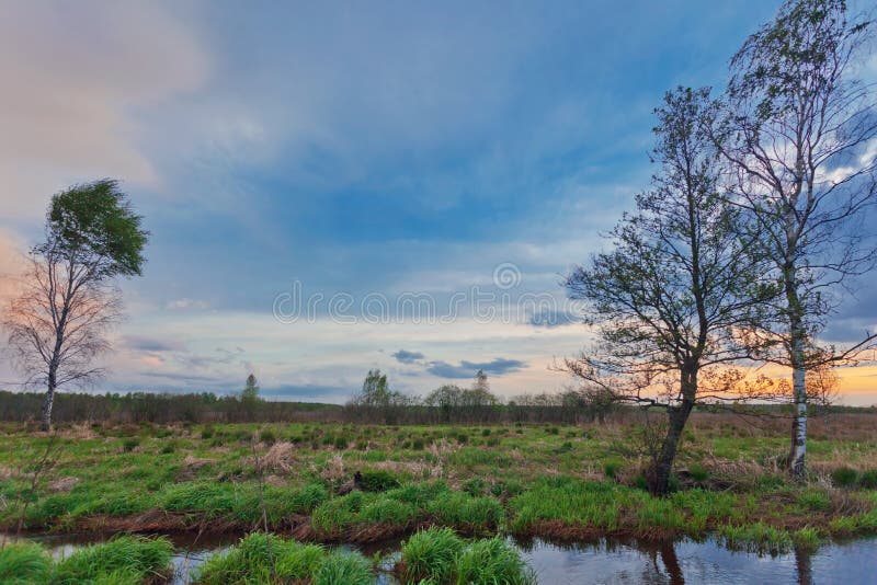 Spring river sunset stock image. Image of spruce, trip - 5332221