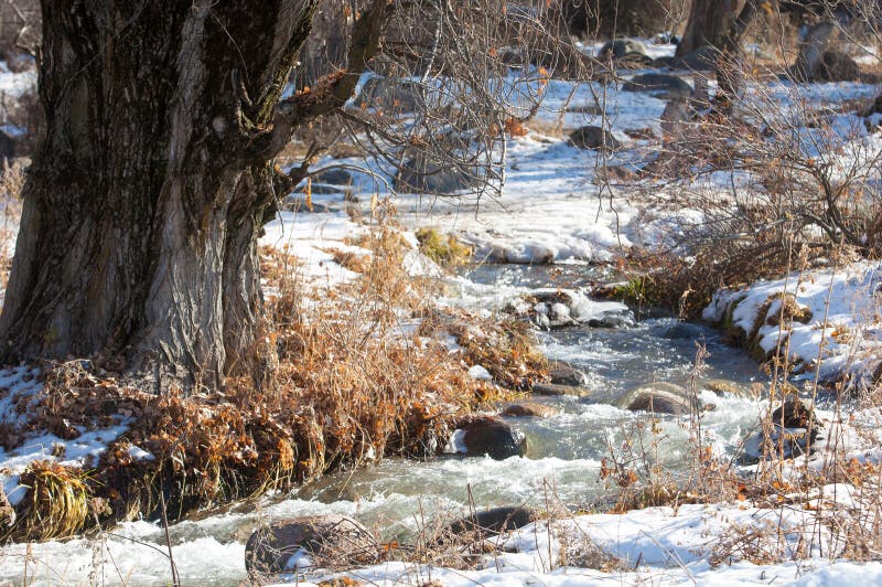 Early Spring stock photo. Image of countryside, landscape - 122721288