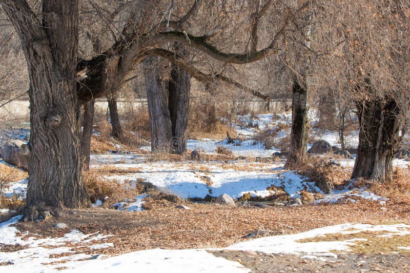 Early Spring stock photo. Image of lake, calm, landscape - 122721374