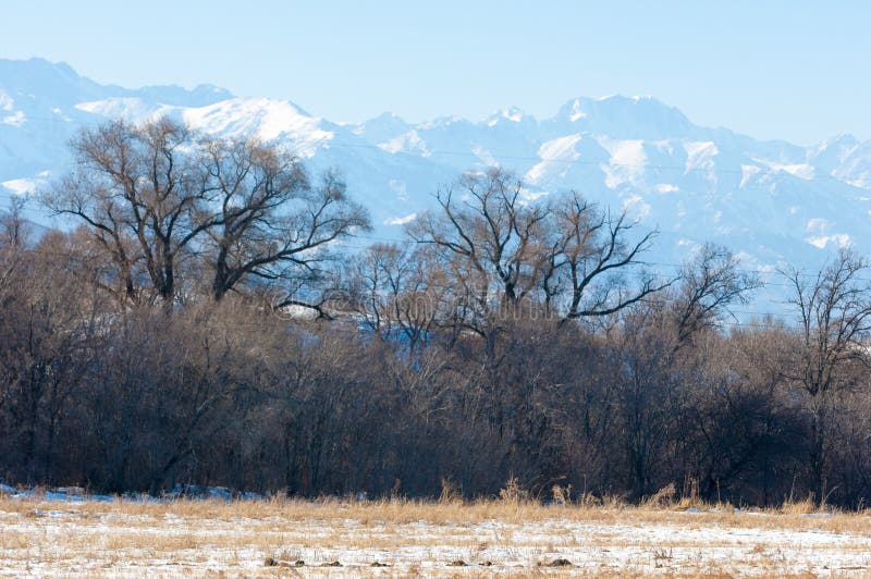 Early Spring stock image. Image of lake, reflection - 122721541