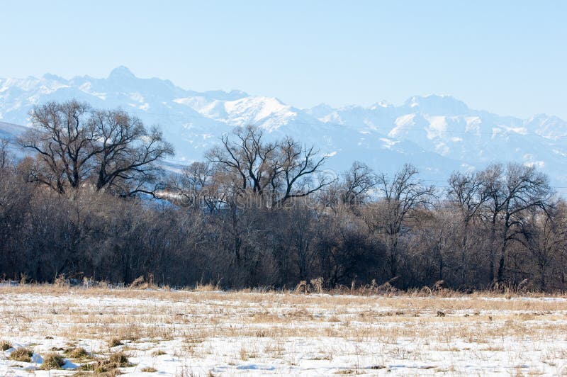 Early Spring stock photo. Image of spring, calm, melt - 122721578
