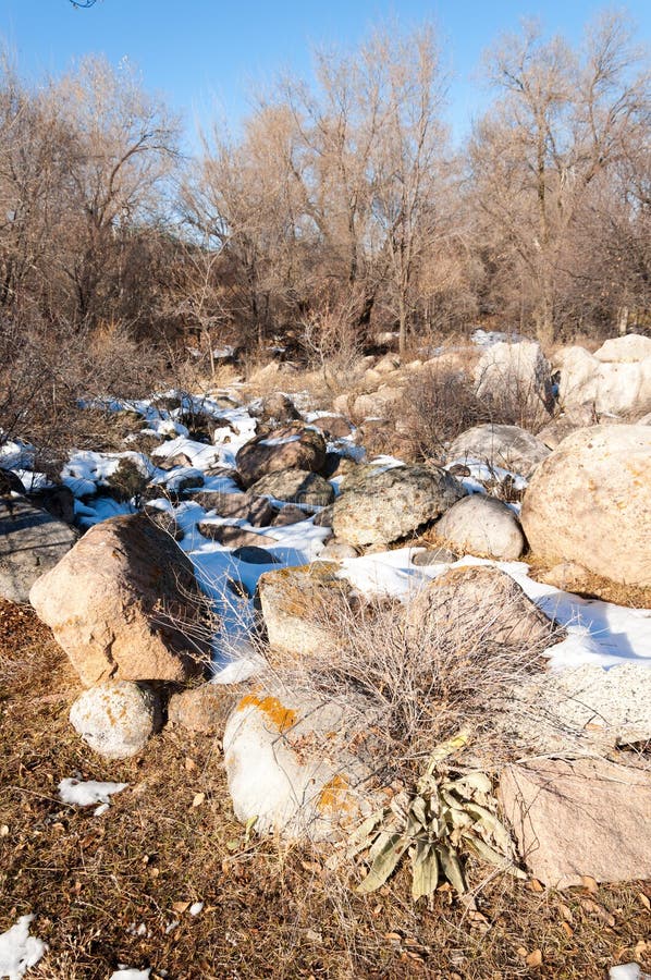 Early Spring stock photo. Image of forest, thaw, melt - 122724148