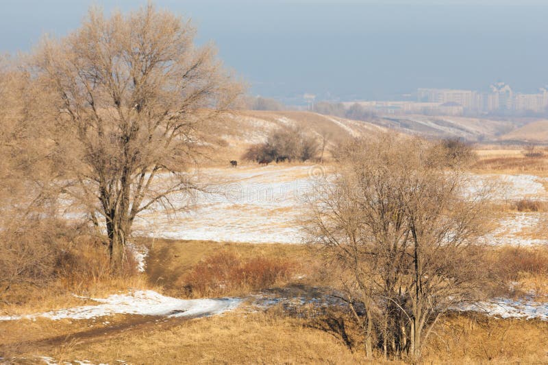 Early Spring stock image. Image of calm, forest, outdoor - 122732167