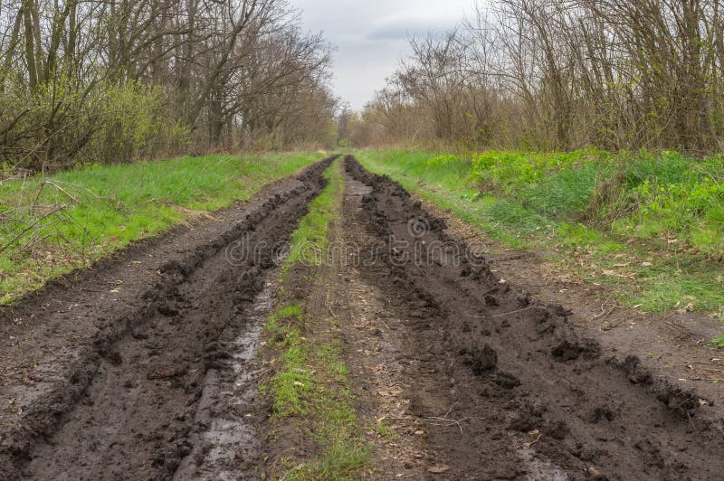 Car ruts in dry road mud stock image. Image of texture - 10072621