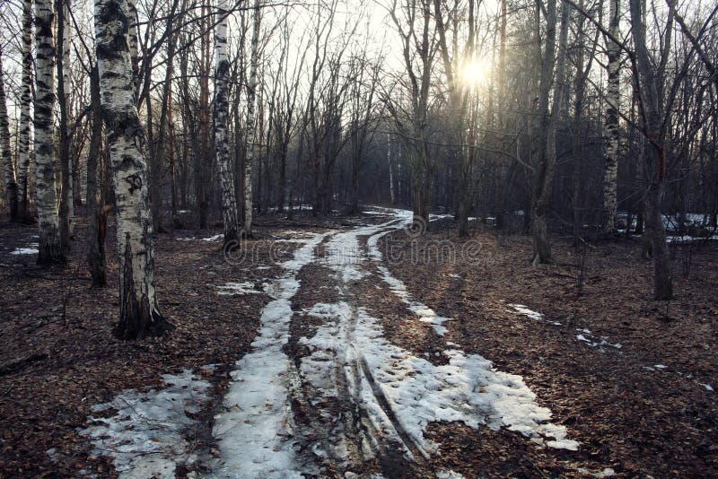 Early spring landscape stock photo. Image of landscape - 66120620