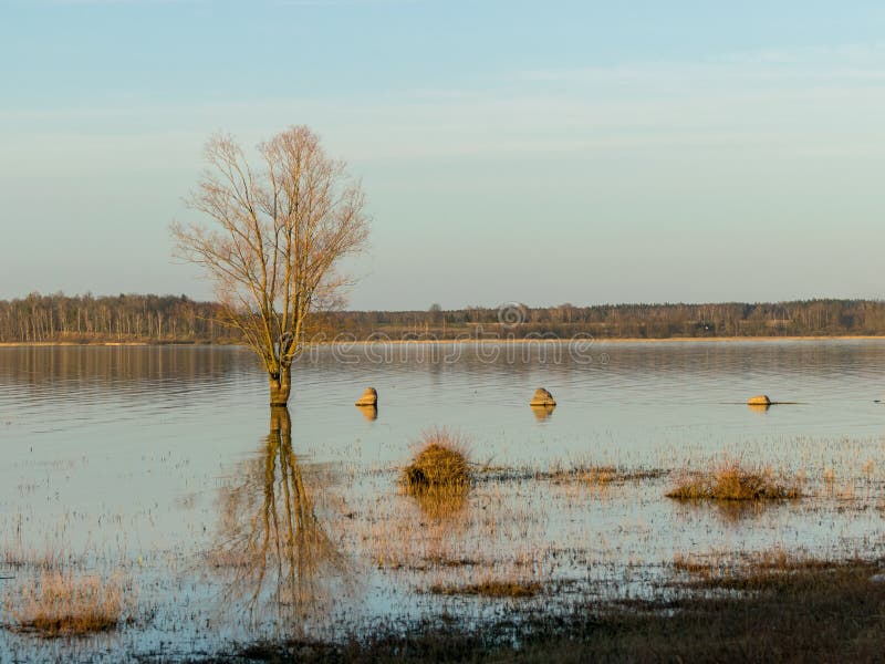 Early Spring Landscape with Tree Silhouettes Stock Photo - Image of ...