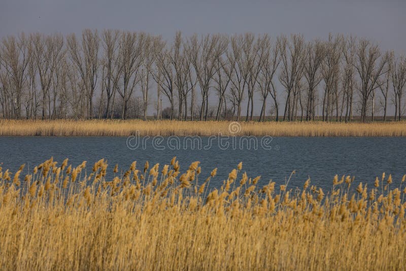 Early Spring Landscape with Trees in the Background, River in the ...