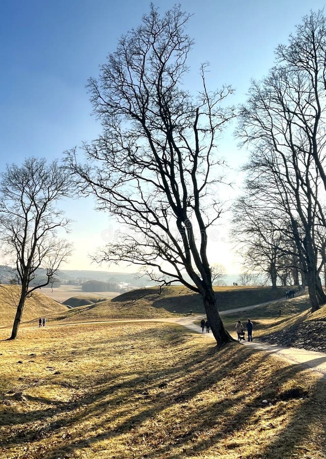 Early Spring Landscape with Winding Path and Bare Trees Stock Photo ...