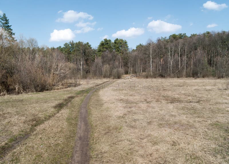 Early spring stock photo. Image of meadow, flora, landscape - 89204412
