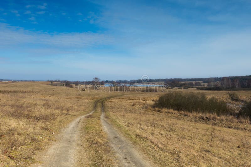 Early Spring Meadow Landscape in Poland. Stock Image - Image of plants ...