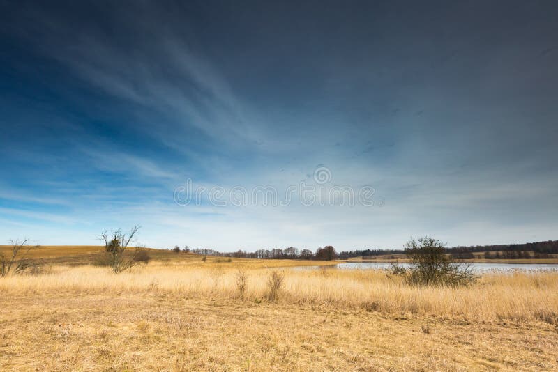 Early Spring Meadow Landscape in Poland. Stock Photo - Image of ecology ...