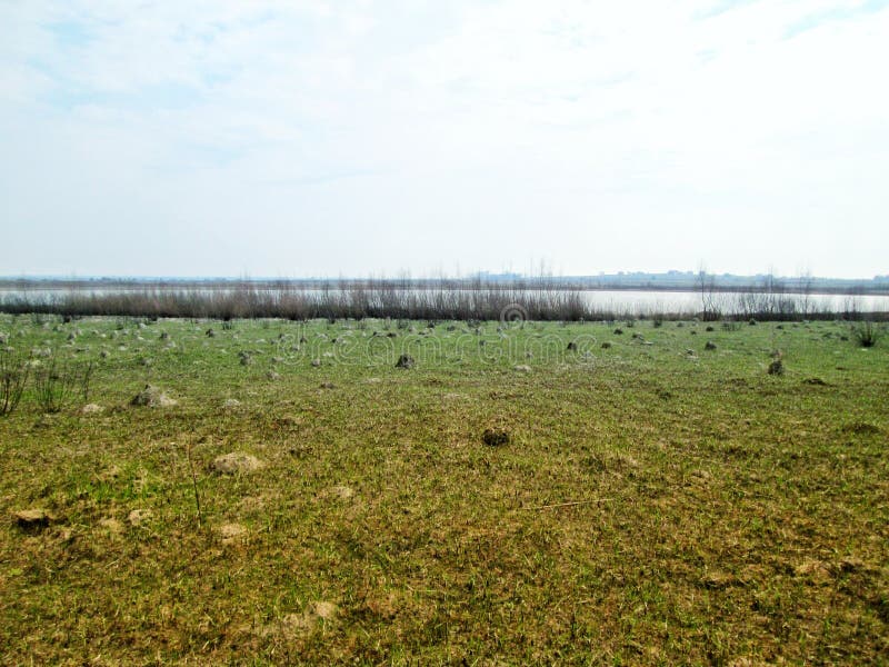 Early Spring Meadow stock photo. Image of serene, nature - 356923310