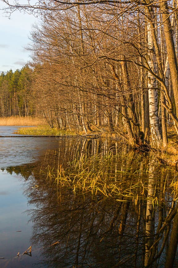 Early Spring Melting Ice and Snow Stock Image - Image of north, season ...