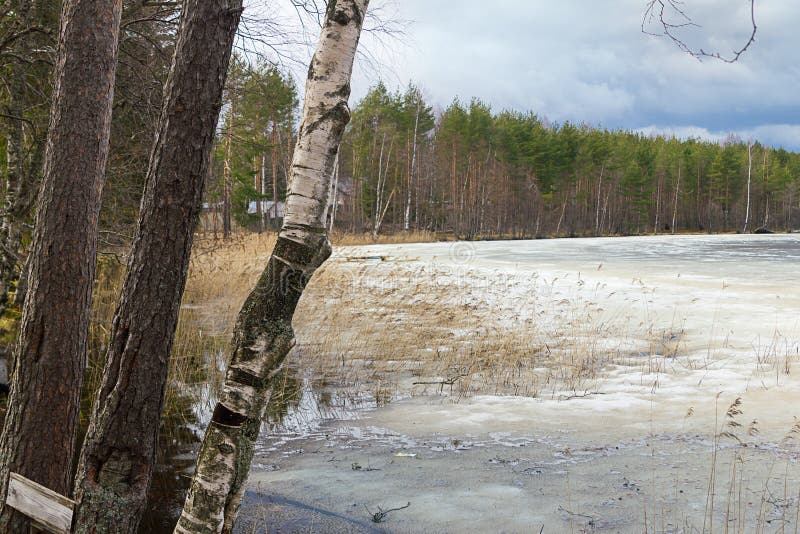 Early Spring with Melting Ice and Snow Stock Image - Image of beautiful ...