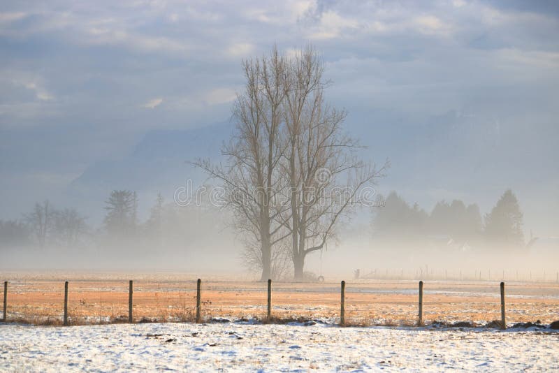 Early Spring and Warming Temperatures Stock Photo - Image of seasonal ...