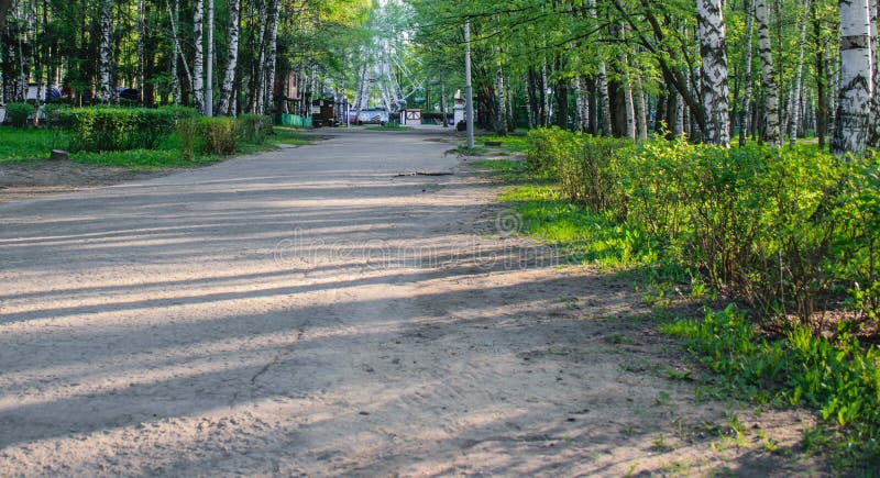 Early Spring Morning in the City Park Stock Photo - Image of paths ...