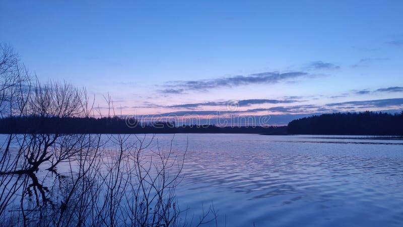 On an Early Spring Morning, the Sun Has Not yet Risen Above the Trees ...