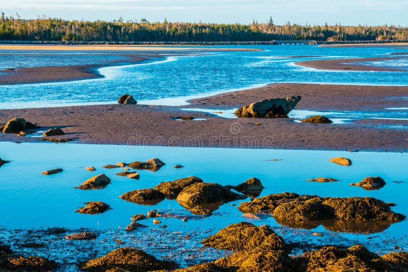 Coastal spring sunrise stock image. Image of sunrise - 188073537