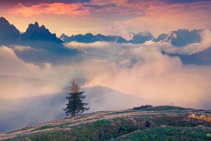 Early Spring in the Mountains Stock Photo - Image of beautiful, fresh ...