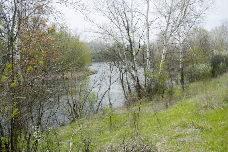 Early spring, nature. stock image. Image of environment - 187521535