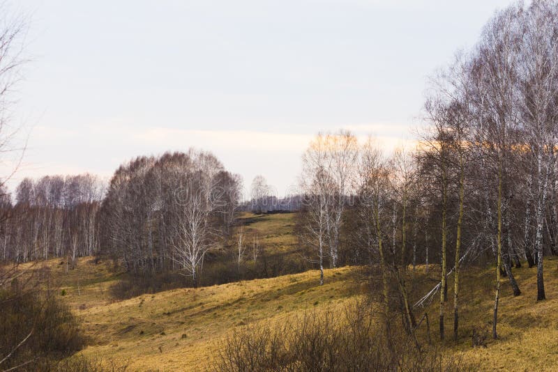 Early spring nature stock image. Image of farm, rural - 113700375