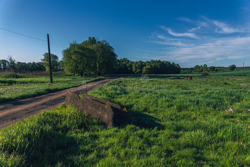 Early spring nature stock image. Image of isolated, leaf - 234954369
