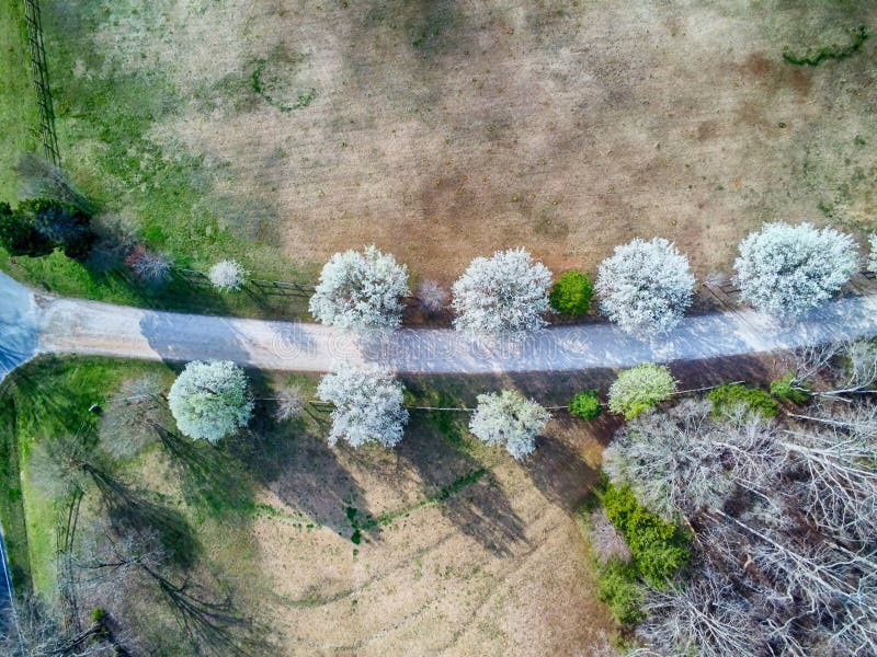 Early Spring in the Neighbourhood Scenes Stock Photo - Image of sunset ...