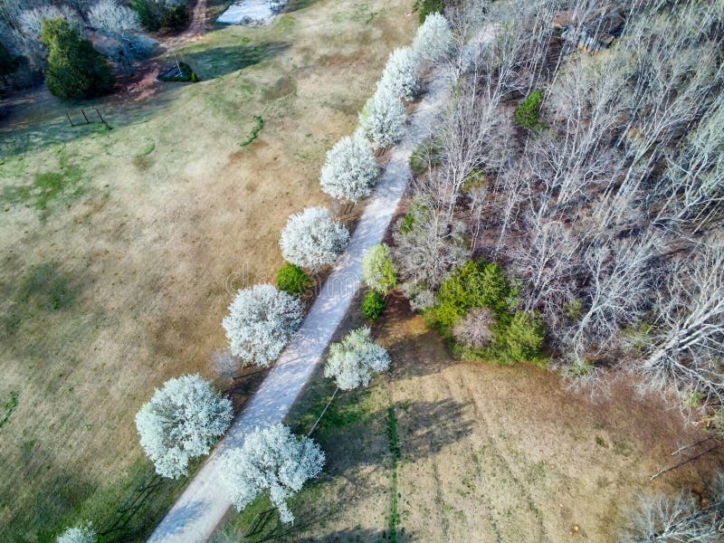 Early Spring in the Neighbourhood Scenes Stock Photo - Image of winter ...