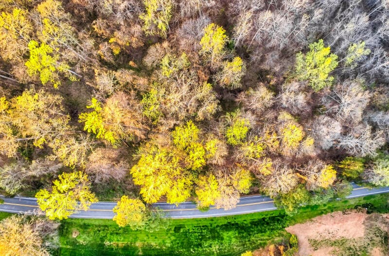 Early Spring in the Neighbourhood Scenes Stock Photo - Image of early ...