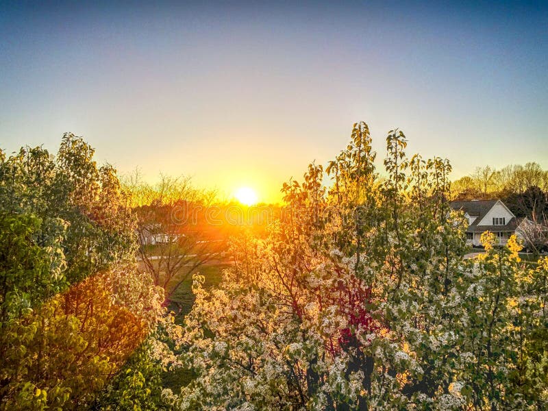 Early Spring in the Neighbourhood Scenes Stock Image - Image of early ...