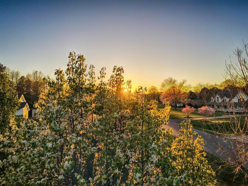 Early Spring in the Neighbourhood Scenes Stock Image - Image of grass ...