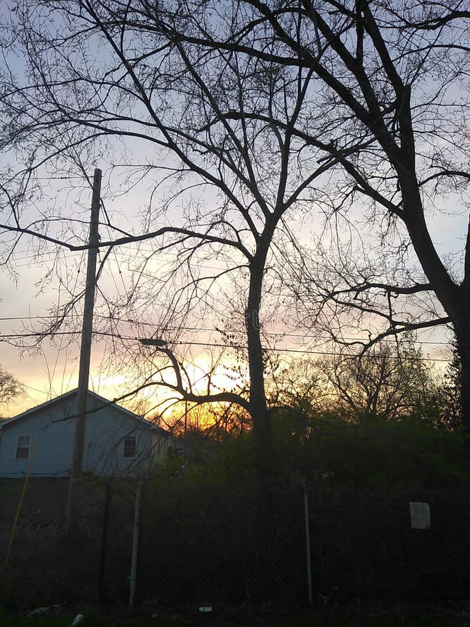 Early spring stock image. Image of spring, early, nice - 115343645