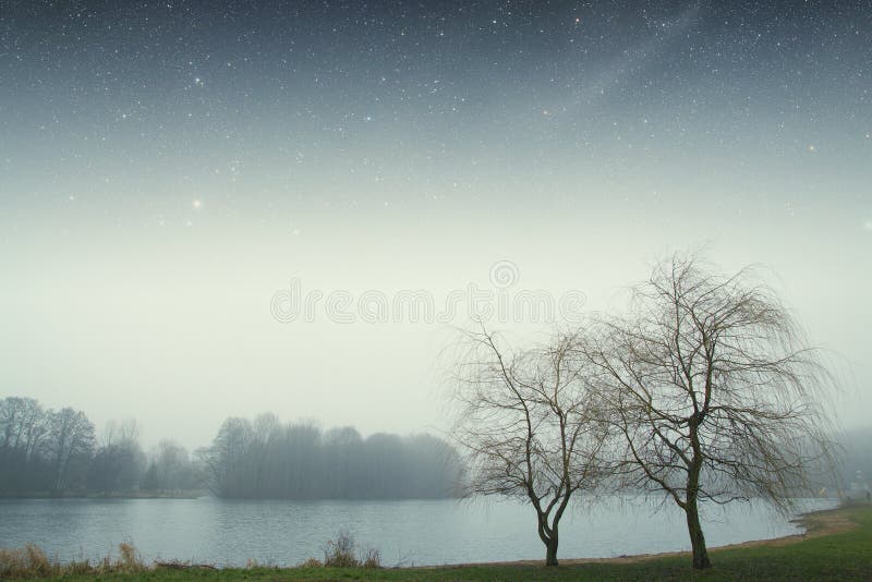 Early spring night. stock image. Image of country, climate - 38392747