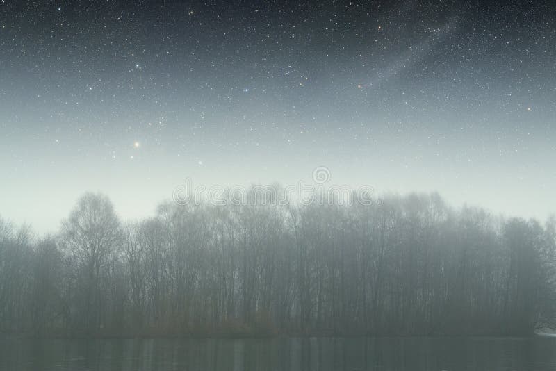 Early spring night. stock photo. Image of clear, mist - 38392736