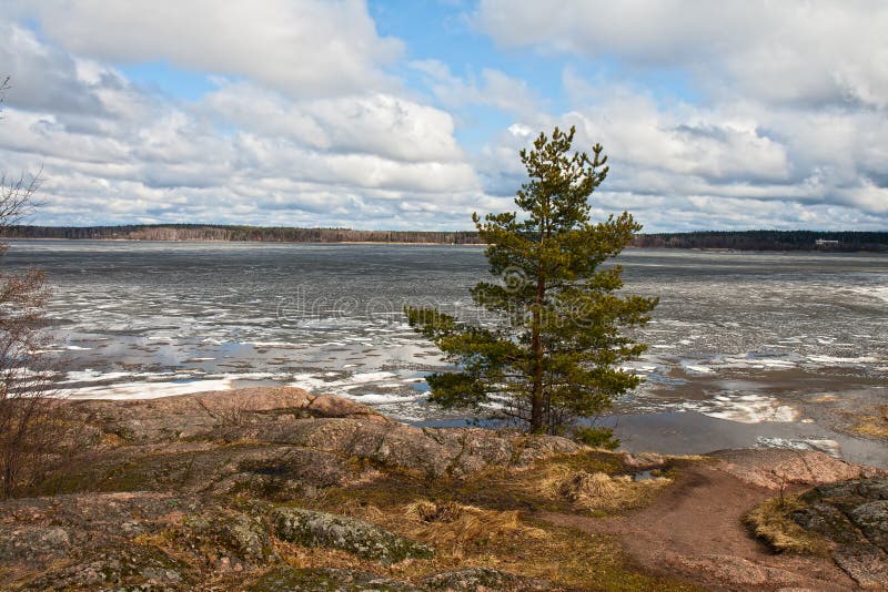 Early spring in the north stock image. Image of water - 30668443