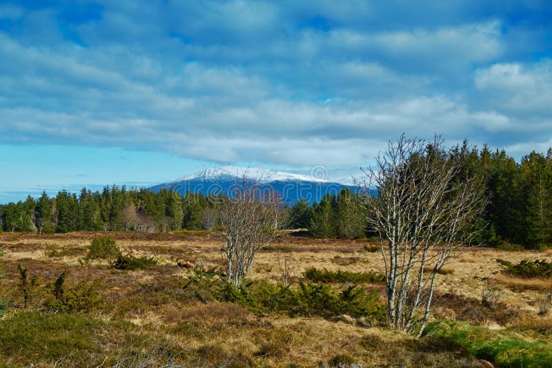 Early spring in Norway stock image. Image of scenic, spring - 53217013