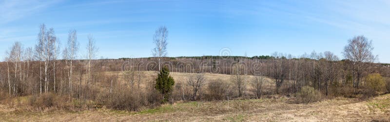 Early spring panorama stock photo. Image of forest, environment - 52537572